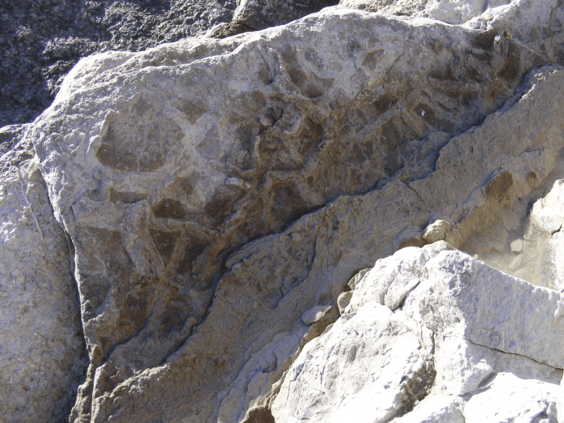Discovering Mupe Rocks and Bacon Hole - Dorset Eye