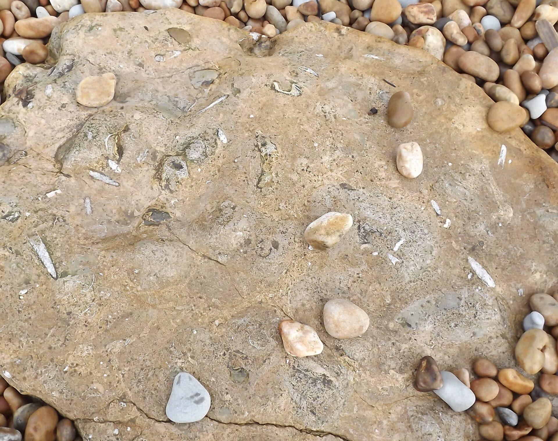 Discovering Eype Mouth to Seatown - Dorset Eye