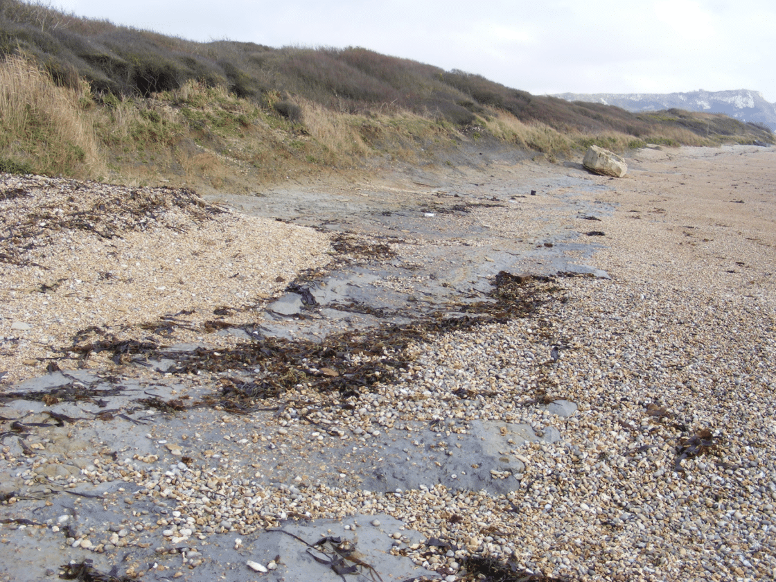 Rocking Around Ringstead Bay - Dorset Eye