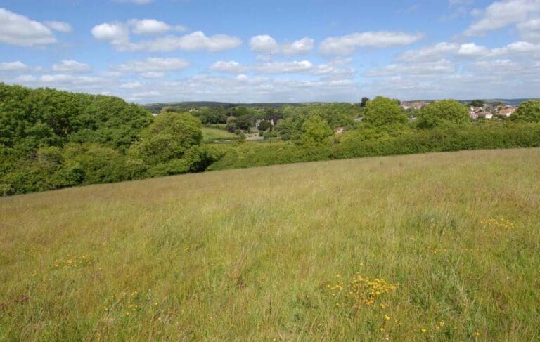 Partnership Success at Tumbledown - Dorset Eye