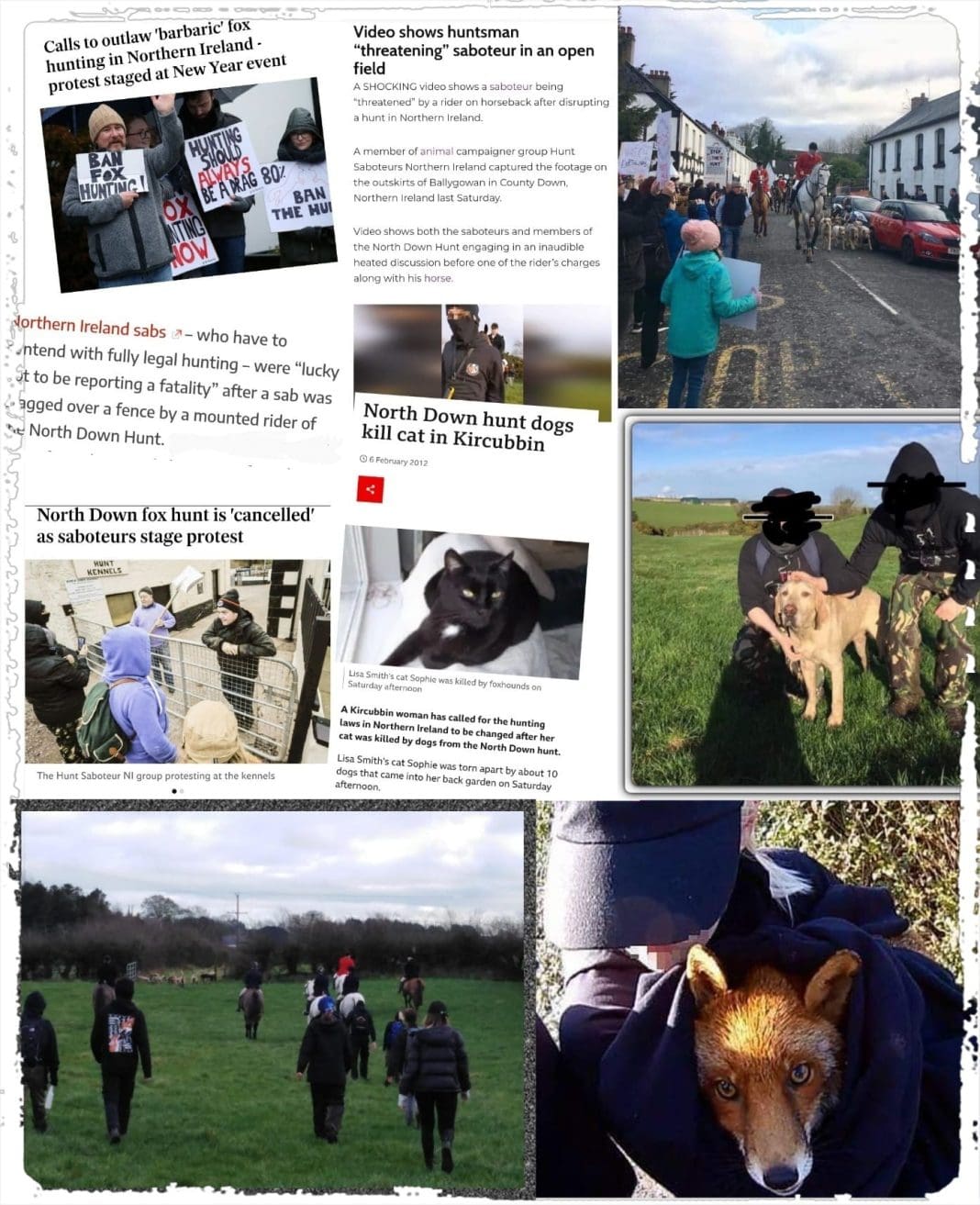 Yippee! The North Down Hunt Is Finished - Dorset Eye